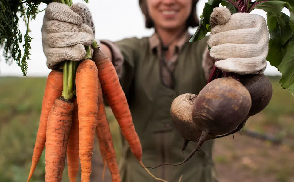 Root Veggie Spotlight: Carrots, Beets, Sweet Potatoes: Prebiotic Power ...